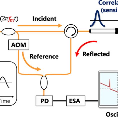 Experimental Setup Of The Standard Ocdr Aom Acousto Optic Modulator