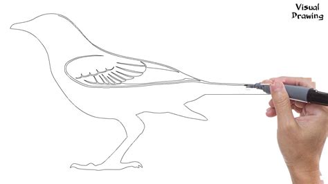 Mockingbird Drawing Easy How To Draw A Mockingbird Flying For