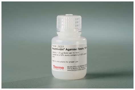 Thermo Scientific Pierce High Capacity NeutrAvidin Agarose Protein Analysis Fisher Scientific