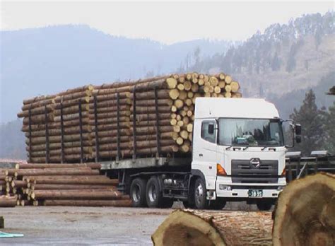 知恵の輪 大量に木材を運ぶトラック・