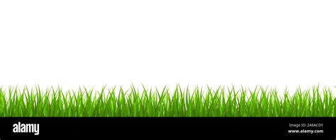 Grassborder Stock Vector Images Alamy
