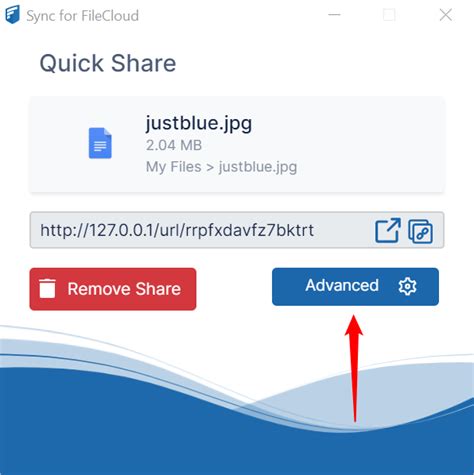 Sharing Files Publicly In Sync FileCloud Docs Server