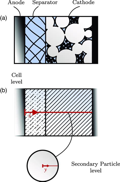 Half‐cell Setup Of Libs A Sandwich Structure Of A Lib Cell The Anode