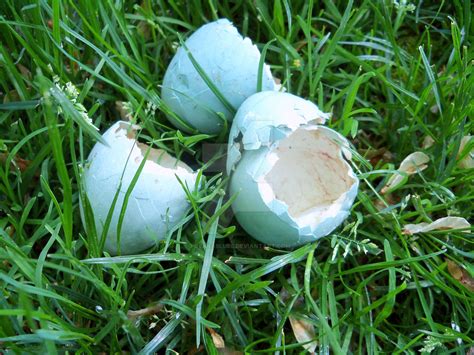 Pterodactyl Eggs By Polarablues On DeviantArt