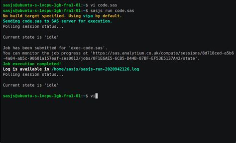 Running Sas Code From The Commandline Sas Dev Ops With Sasjs Cli