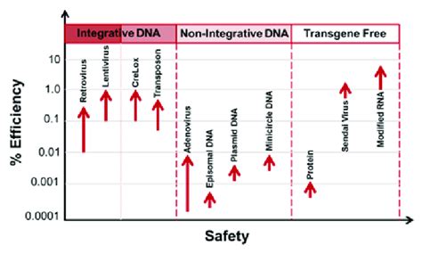 The Evolution Of Reprogramming Technologies Download Scientific Diagram