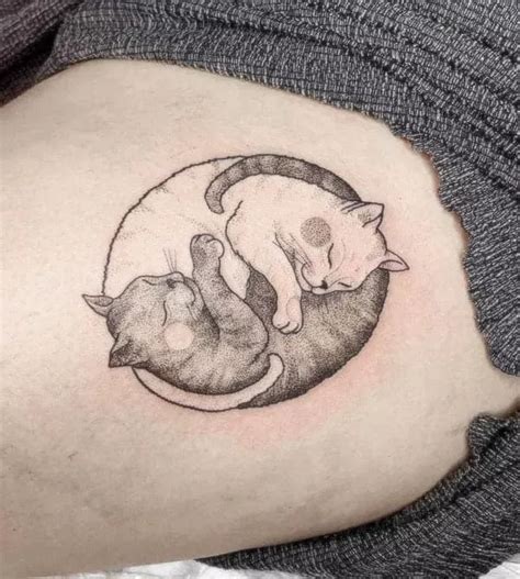 Yin Yang Balancing Cats By Stylecomfy Artofit