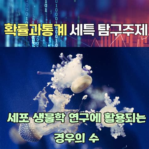 의학 생명 확률과통계 세특 탐구 주제 세포 생물학 연구에 활용되는 경우의 수 네이버 블로그