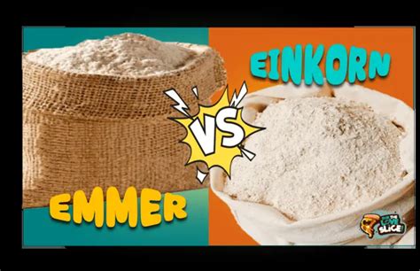 Emmer Flour Vs Einkorn Flour Which Ancient Grains Is Better For The