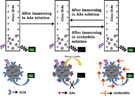 Schematic Illustration Of The Attachment Of Nanocrystals Onto A