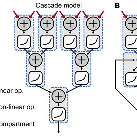 Illustration Of Cascade Models And Prc Models A Dendritic