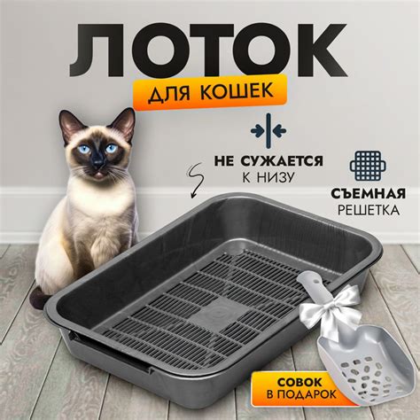 Лоток для кошек с бортом и сеткой, кошачий туалет - купить с доставкой ...