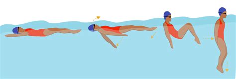 Swimming Coaching Guide 2020stroke Development Breaststroke