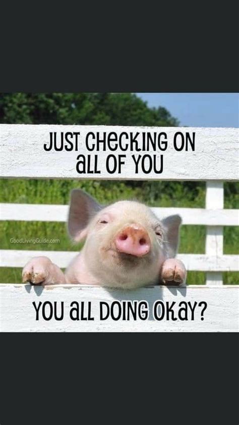 Just Checking On All Of You