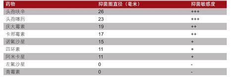 一例雏鸡白痢沙门氏菌病的诊治 参考网
