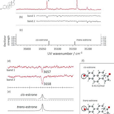 A S 1 −s 0 Lif Spectrum Of Jet Cooled Estrone B Uv−uv Hb Spectra