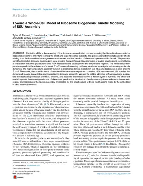 Pdf Toward A Whole Cell Model Of Ribosome Biogenesis Kinetic