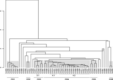 dendrogram resulting from a cluster analysis using the centroid