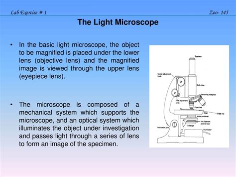 Ppt Microscopy Powerpoint Presentation Free Download Id 3050109