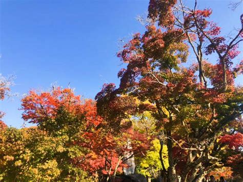 Rskラジオ｜きょうのラジまる 岡山市北区足守にて県内の作家の手工芸品を展示・販売、おいしいものも大集合な「葦の森展2nd」へ行ってきました！