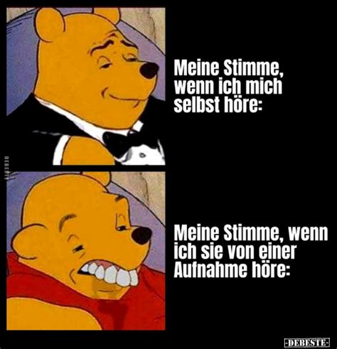 Meine Stimme Wenn Ich Mich Selbst Höre Meine Stimme Wenn Ich Sie Von