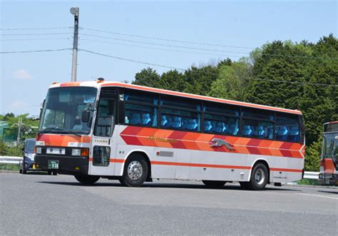 帝産観光バス