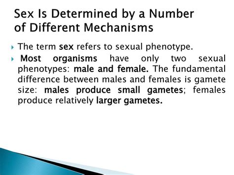 Sex Determination And Sex Linked Characteristics Ppt Download