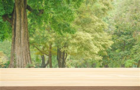 나무 테이블 탑 연단 바닥은 야외 녹색 열대 우림 자연 풍경 배경입니다 유기농 건강 천연 제품 현재 배치 받침대 카운터