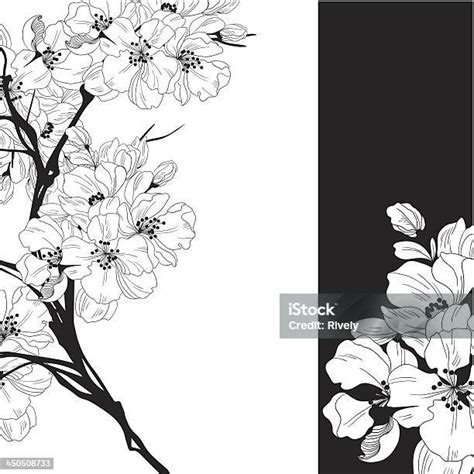 신혼여행 중인 혼혈의 젊은 군인커플 흑백 초대 또는 축하글 카드 오리엔털 체리 검은색에 대한 스톡 벡터 아트 및 기타 이미지 검은색 꽃 나무 꽃 식물 Istock