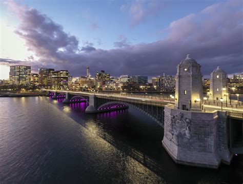 Ali Lyons Posted On Linkedin