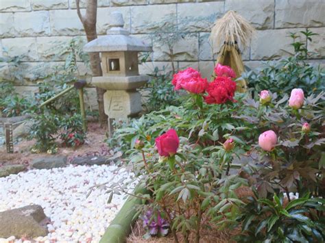 神代植物公園 ニュース On Twitter 新年あけましておめでとうございます。 神代植物公園は、本日（12）より開園しております