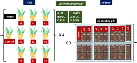 Pot Greenhouse Experiment