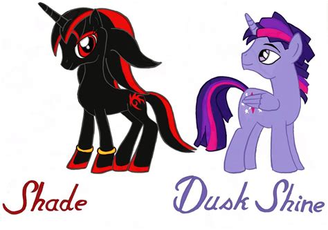 Twilight Sparkle And Dusk Shine