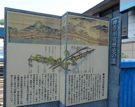 旧東海道神奈川宿散策 その2 コスモスの散歩道