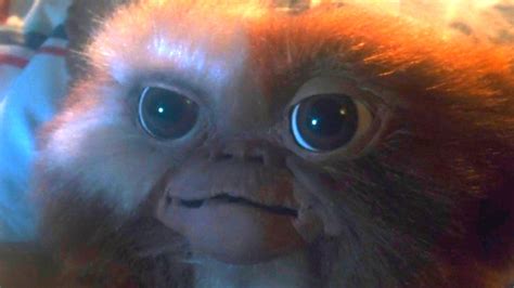 Heres Where You Can Stream Gremlins This Holiday Season