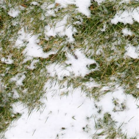 Snow With Grass Texture Seamless 12792