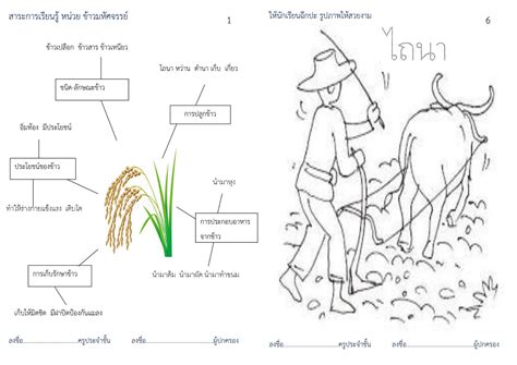 ใบงาน หน่วย สื่อปฐมวัย มีเดีย ใบงาน แจกฟรี By ครูบี Facebook
