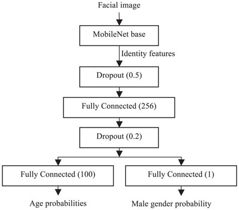 Efficient Facial Representations For Age Gender And Identity