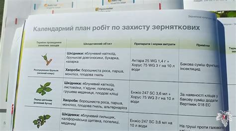 Чушь или эффективное средство для обработки сада и винограда | Виноград ...