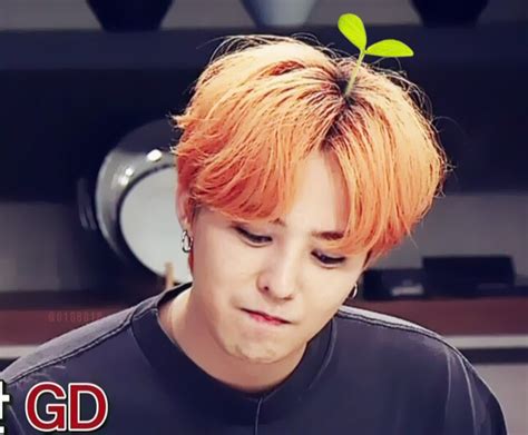 权志龙权志龙 Bigbang G Dragon 堆糖，美图壁纸兴趣社区