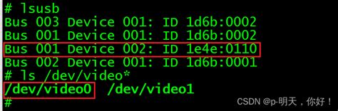 荔枝派zero全志v3s驱动开发之usb摄像头荔枝派 Zero 开发 Csdn博客