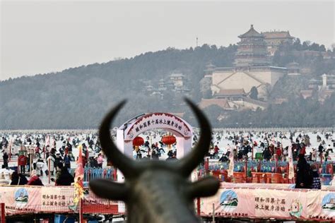 元旦假期北京全市公园纳客254万人次 同比增长近七成中新社北京分社