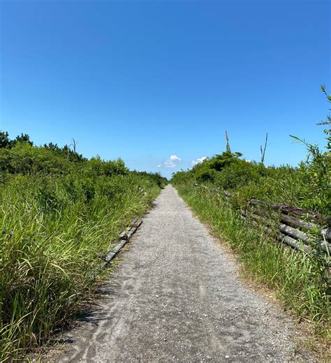 一本道の先にある東浪見海岸海HAPPY OUTSIDE BEAMS