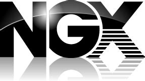 NGX Multi Collector Noble Gas Mass Spectrometer Overview