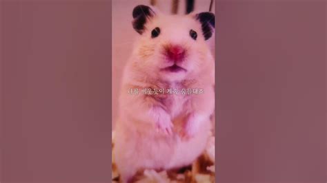 위잉위잉노래넘 좋아요 Youtube