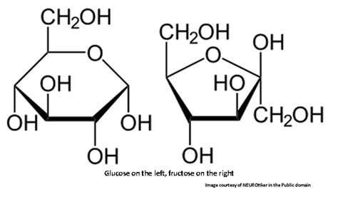 Fructose Is Fructose Is Fructose American Council On Science And Health
