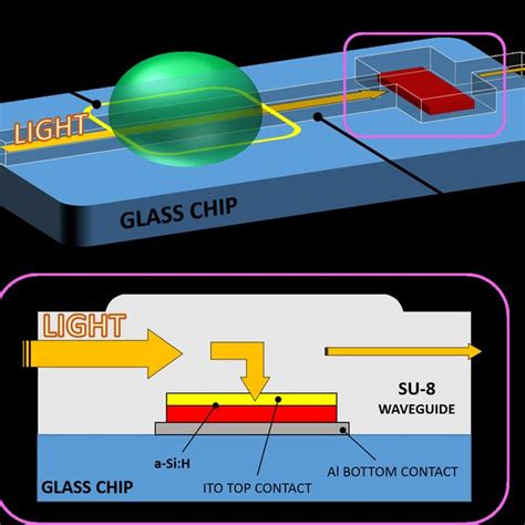 Optical Coupling Test A Laser Beam Not Aligned To The Dut Waveguide Download Scientific