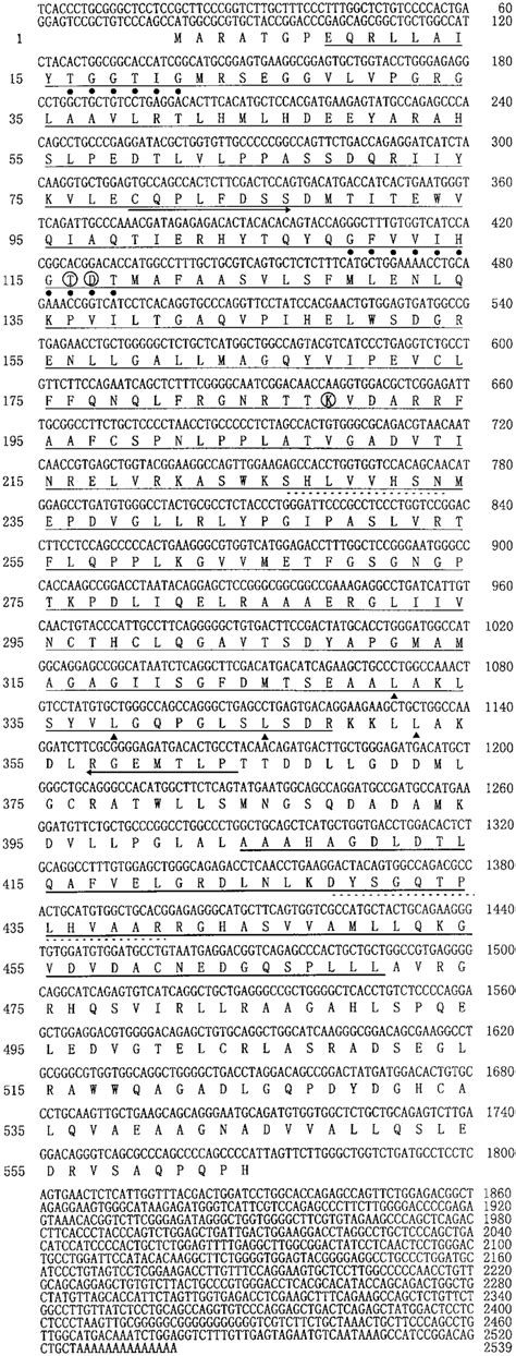 Nucleotide Sequence And The Deduced Amino Acid Sequence Nucleotide