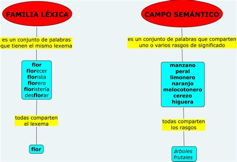 Maestro San Blas Campos Semántico Y Léxico