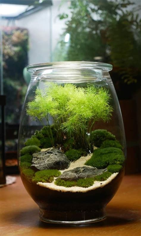 10 Brilliant Ideas For Adorable Diy Terrariums Artofit